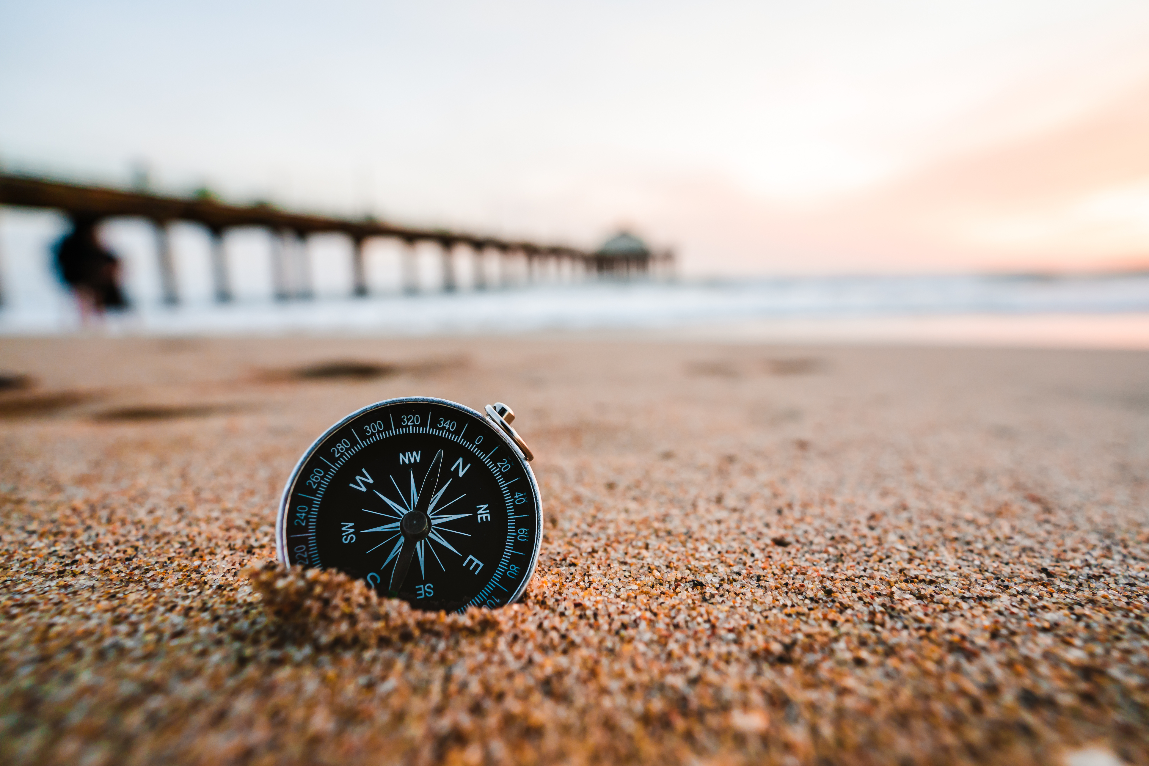 From Ogletree Deakins to Harbor's New President, Lisa Ellis-James…